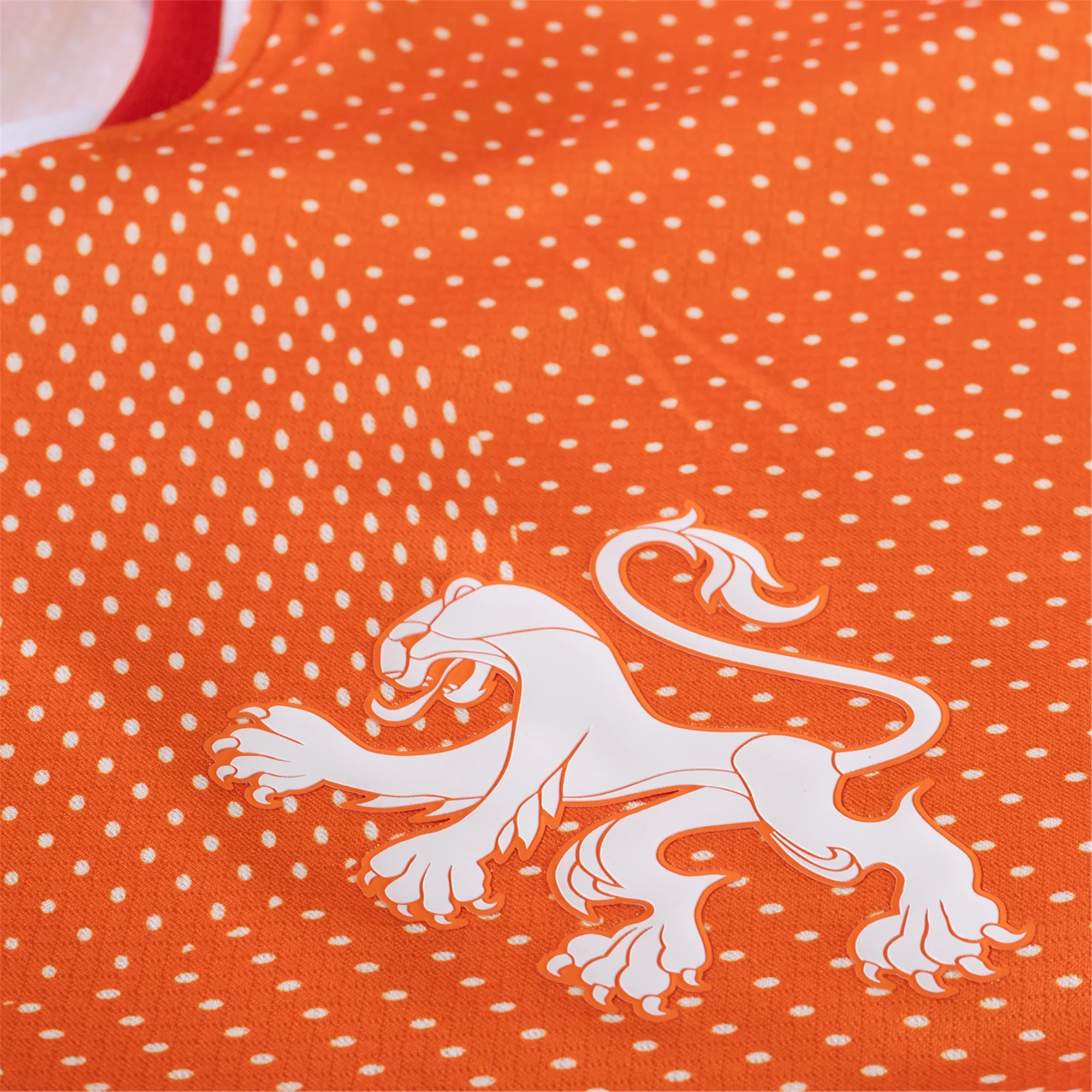 Netherlands 2025 Home Jersey - SoccerArmor